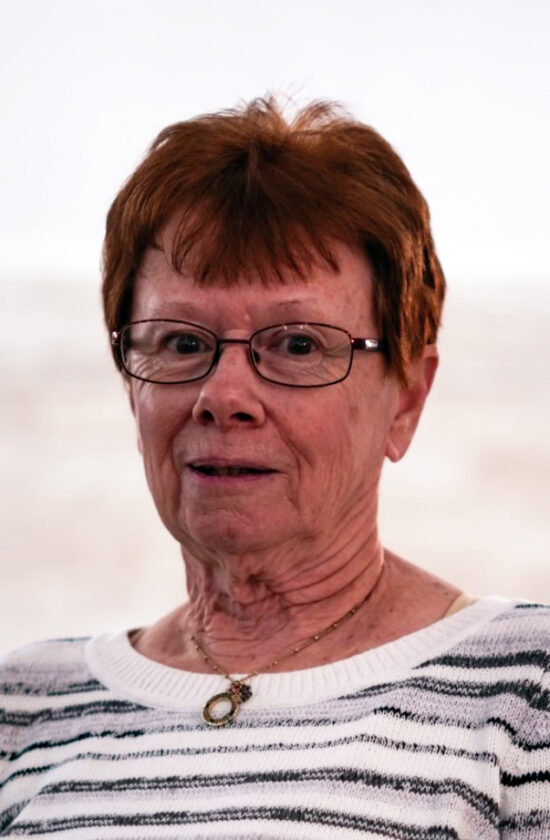 Janet E. Seybold | News, Sports, Jobs - The Express